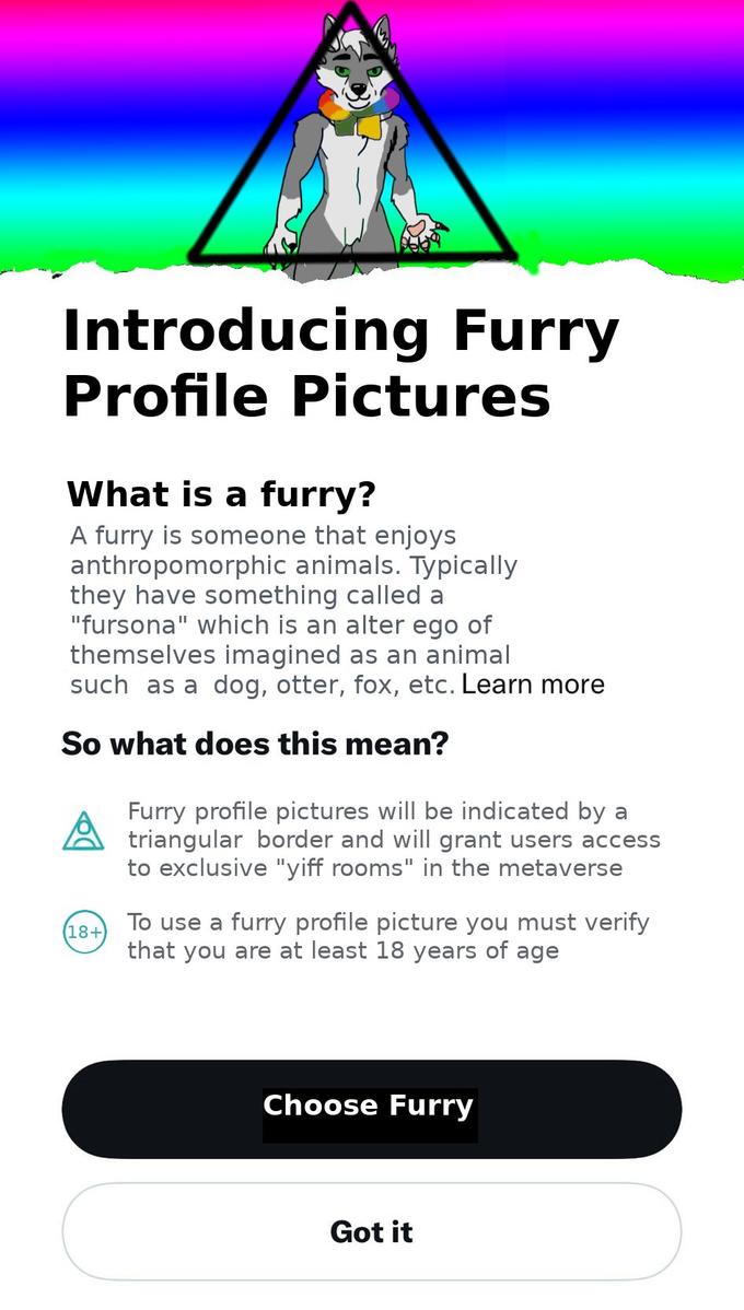 Introducing Furry Profile Pictures | Twitter Hexagonal NFT Profile ...