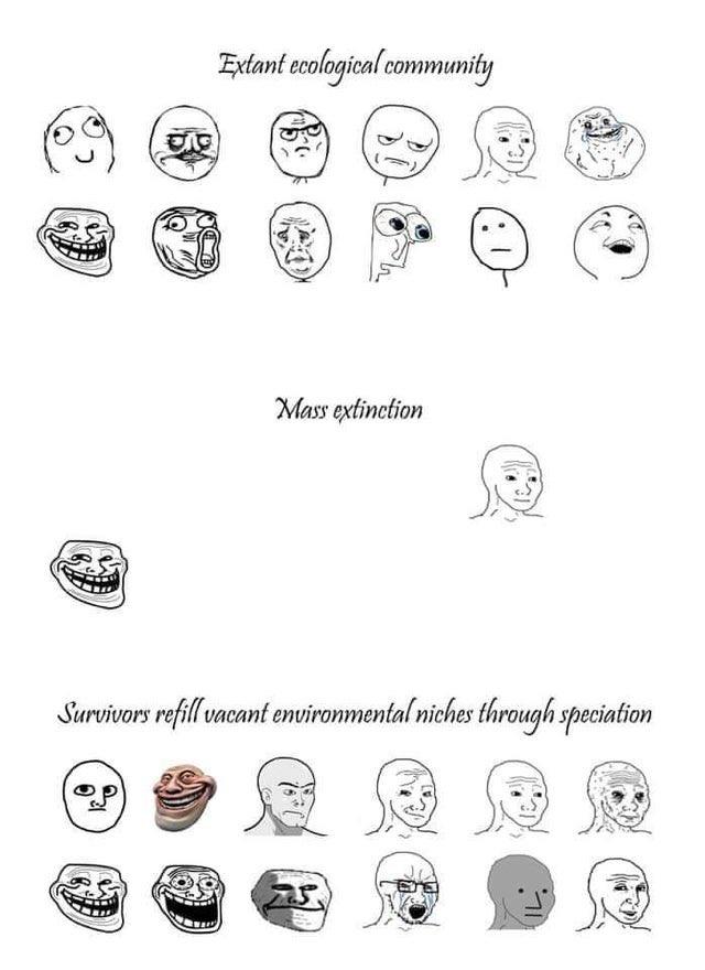 Meme ecology | Rage Comics | Know Your Meme