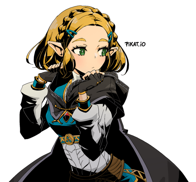 Zelda by pikat | The Legend of Zelda: Breath of the Wild | Know Your Meme