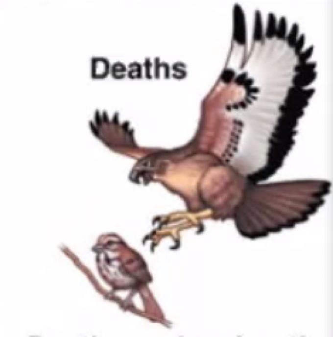 Warning | Science Diagrams That Look Like Shitposts | Know Your Meme