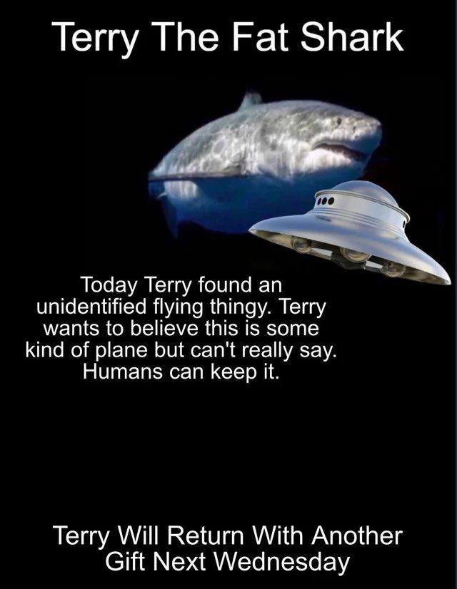 Unidentified Flying Thingy | Terry The Fat Shark | Know Your Meme