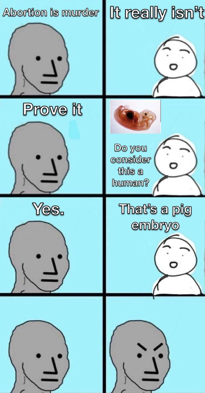 Pig Embryo Roe v. Wade | Pig Embryo | Know Your Meme