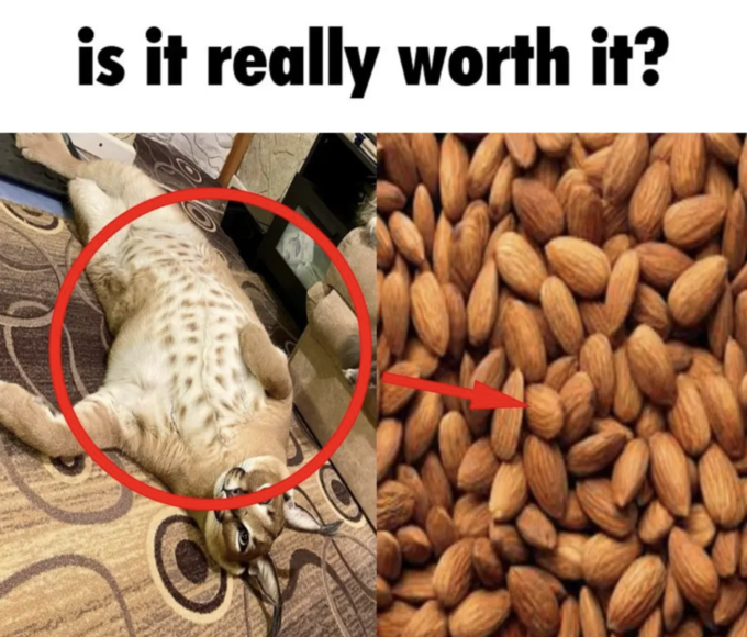 Is It Really Worth It Meme Is It Really Worth It Know Your Meme