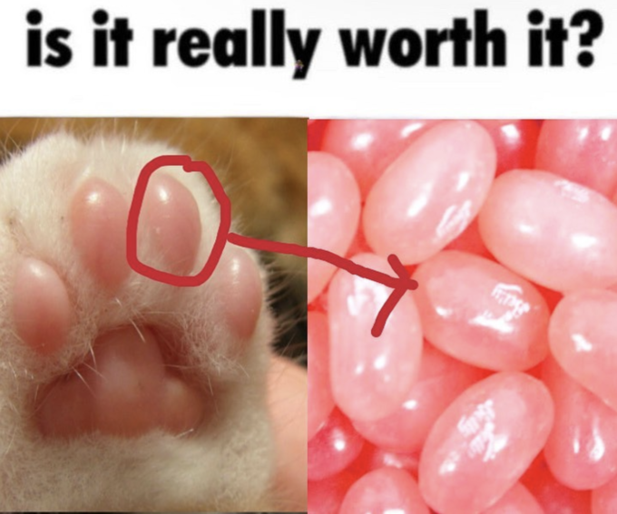 Is It Really Worth It Meme Is It Really Worth It Know Your Meme