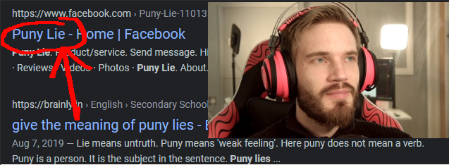 Puny Lie | Name Soundalikes | Know Your Meme
