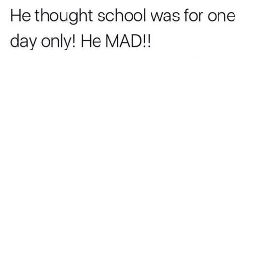 He Thought School Was For One Day Only He MAD Meme Template He 