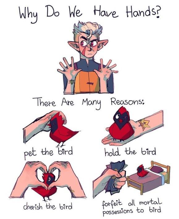 Why Do We Have Hands There Are Many Reasons Know Your Meme