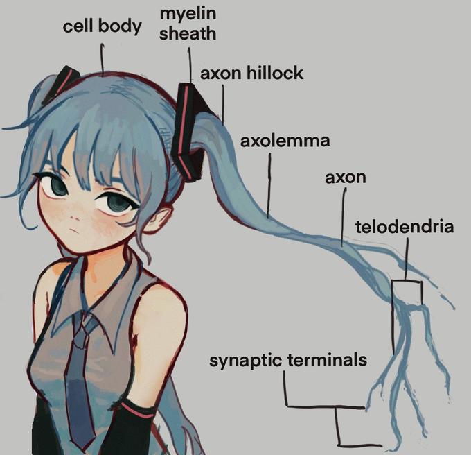 Anatomy of Hatsune Miku | Hatsune Miku / Vocaloid | Know Your Meme