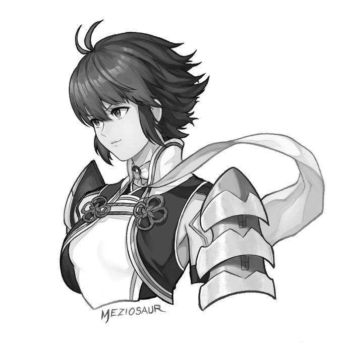 Hinoka 💖 | Fire Emblem | Know Your Meme