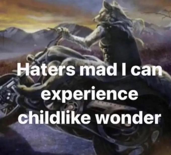Lone Wolf Experiences Childlike Wonder Despite Haters | Know Your Meme