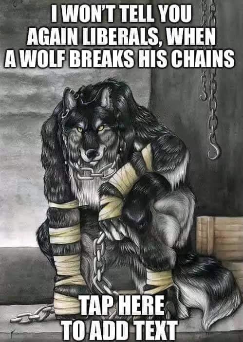 Wolf Breaks Chains, Tells Liberals | Sitting Wolf | Know Your Meme