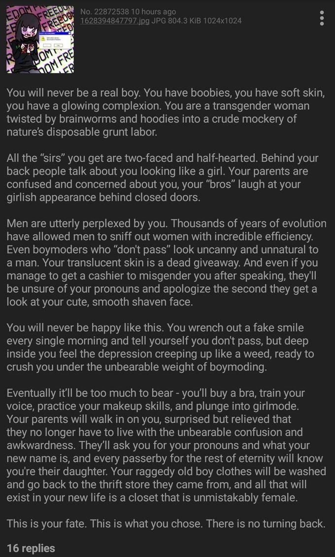 You will never be a real boy | Boymoder | Know Your Meme