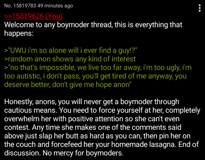 Anon summarizes any boymoder thread | Know Your Meme