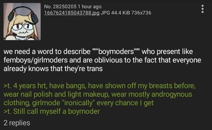 Anon suggests making a word to describe ""Boymoders"" that everyone ...