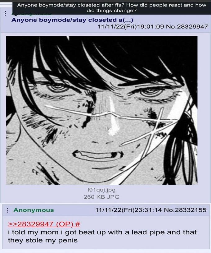 Anon asks if anyone boymoded/stayed closeted after facial feminization ...