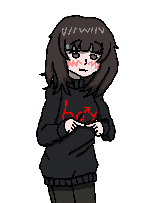 Boymoder Pride in boymoder hoodie | Boymoder | Know Your Meme