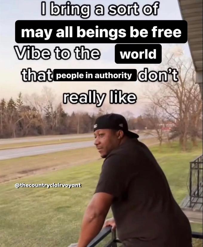 I Bring A Sort Of X Vibe To The Y Know Your Meme