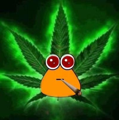 Weed Pou Stoner | Neglected Pou / Abused Pou | Know Your Meme