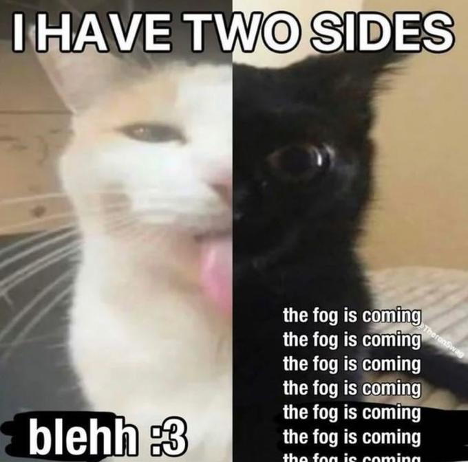 What Is The Fog Is Coming Meme Know Your Meme