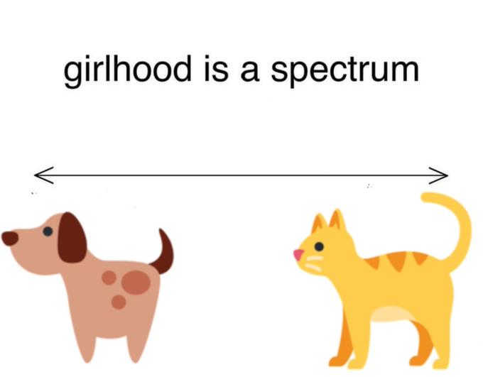 Girlhood Is A Spectrum (Meme) | Girlhood Is A Spectrum | Know Your Meme