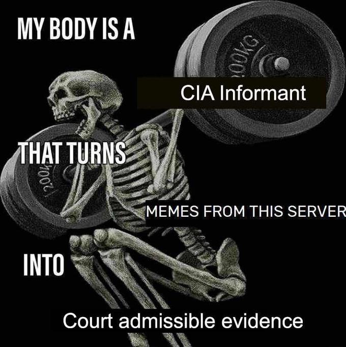 My Body Is A CIA Informant That Turns Memes From This Server Into Court 