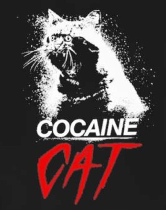 cocaine | Cocaine Cat | Know Your Meme