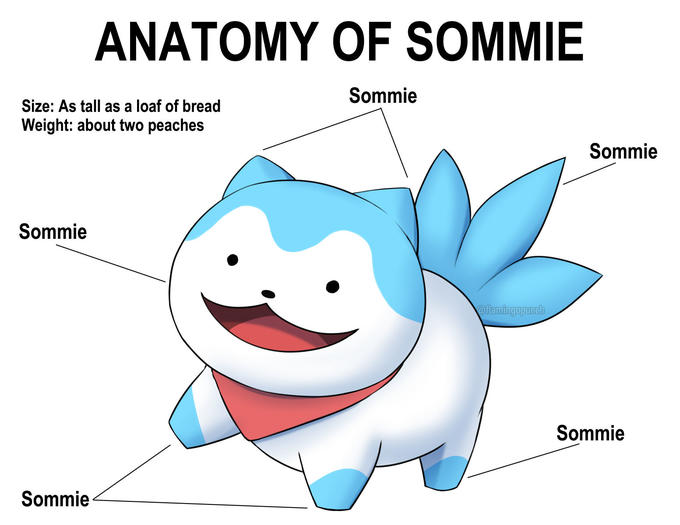 anatomy of sommie | Fire Emblem Engage | Know Your Meme