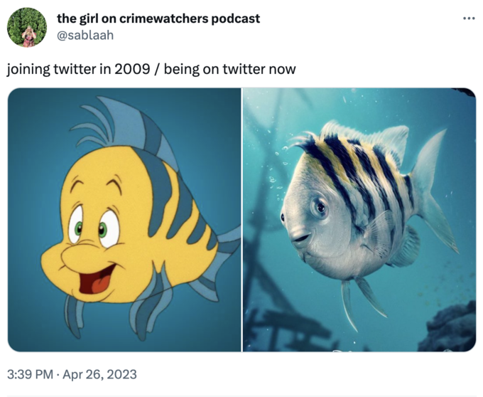 Twitter Then now Live action Flounder Know Your Meme Twitter Then now Live action Flounder Know Your Meme