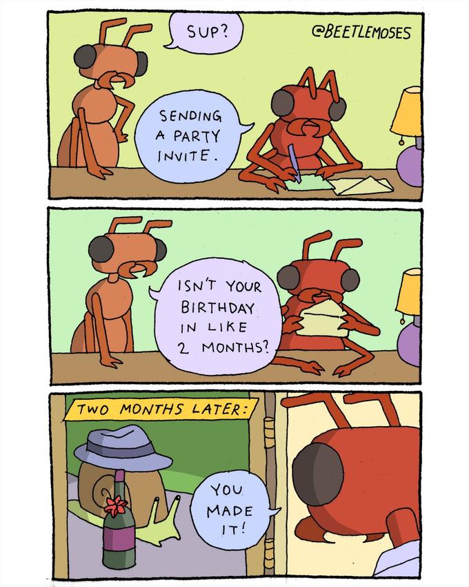 Party invite | Beetle Moses | Know Your Meme