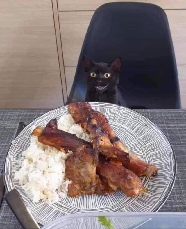 15 Animal Memes To Replenish Your Spiritual Energy | Know Your Meme