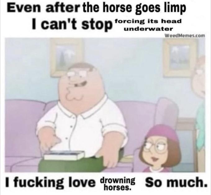 I F------ Love Drowning Horses So Much | Know Your Meme