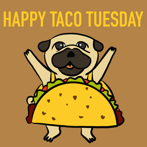 Taco Tuesday Taco Tuesday Know Your Meme Taco Tuesday Taco Tuesday Know Your Meme