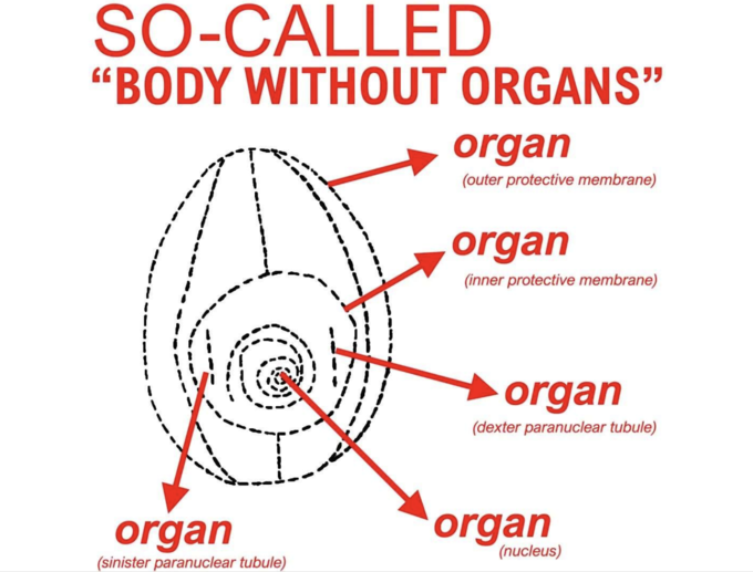 Body Without Organs Body Without Organs Know Your Meme Body Without Organs Body Without Organs Know Your Meme