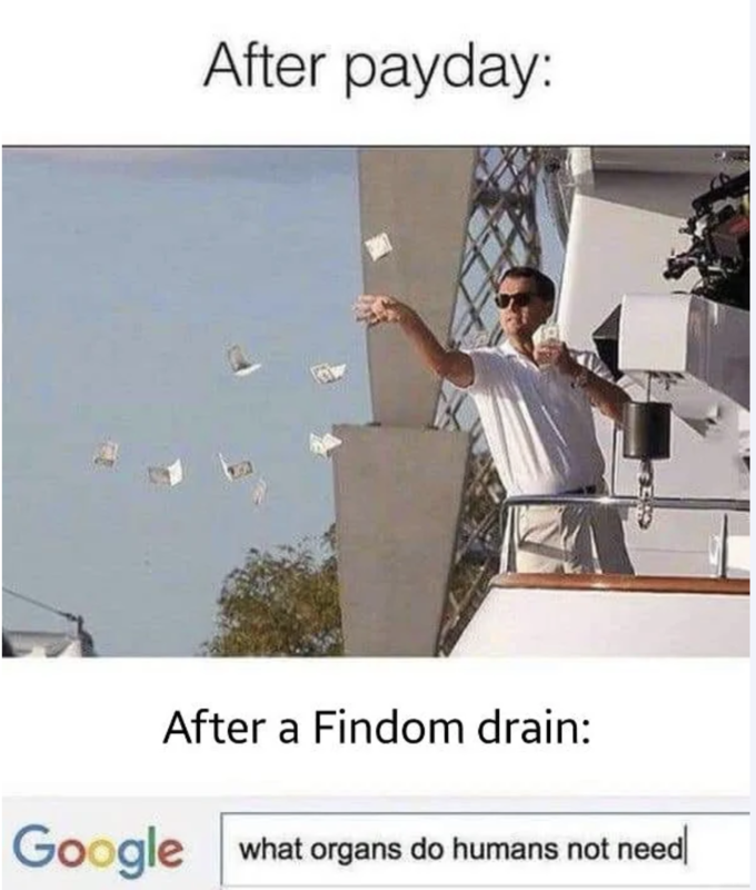 Paypig Findom Slang Paypig Findom Slang Know Your Meme