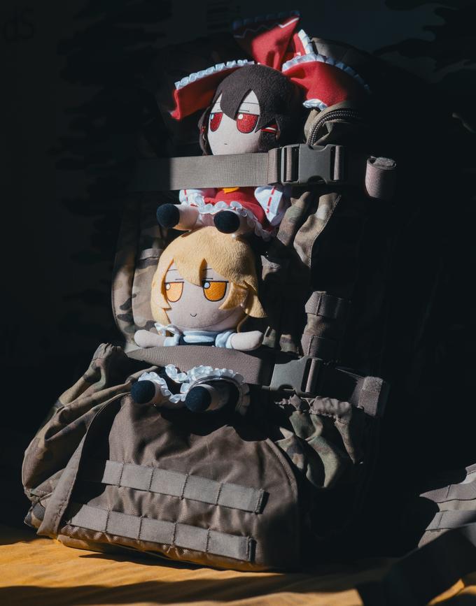 "Bug out Fumos" | Fumo Fumo Plush Series | Know Your Meme