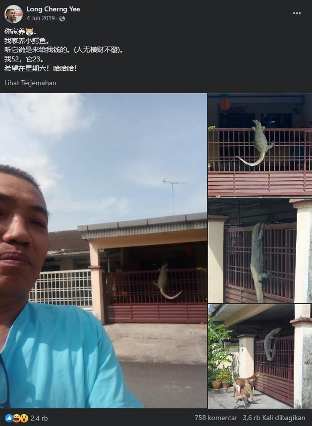 origin | Monitor Lizard On The Fence | Know Your Meme