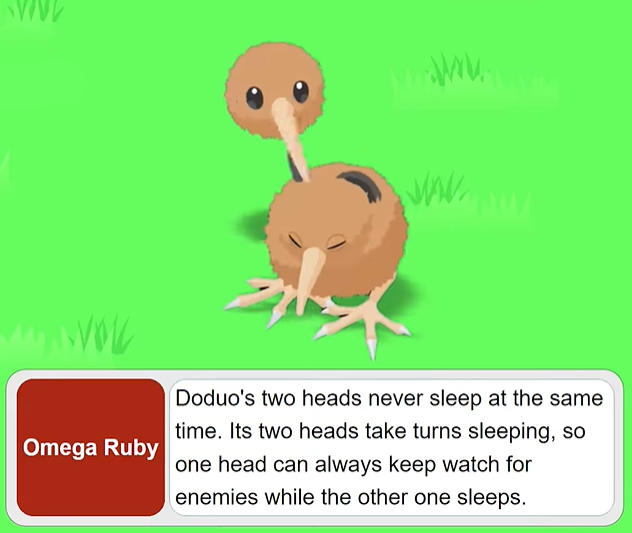 Sleeping Doduo | Pokémon Sleep | Know Your Meme