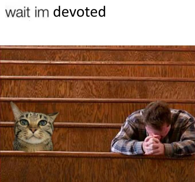 Wait I'm Devoted | Wait I'm Goated | Know Your Meme