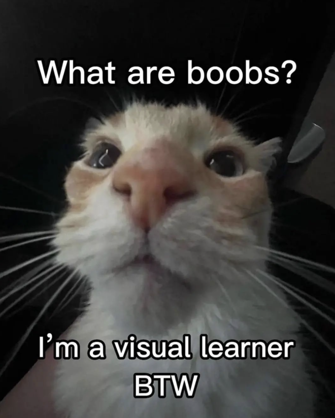 I m A Visual Learner BTW I m A Visual Learner BTW Know Your Meme