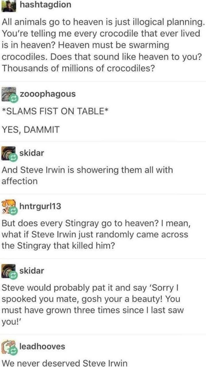 All Animals Go to Heaven... And Steve Irwin's There to Meet Them ...
