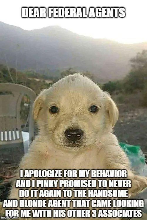 Dear Federal Agents, I Apologize for My Behavior | Know Your Meme