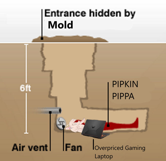Pippa's current streaming set up | Know Your Meme