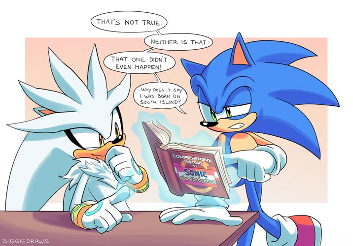 Silver Brings History Books From The Future And Sonic Likes To Pick 3454