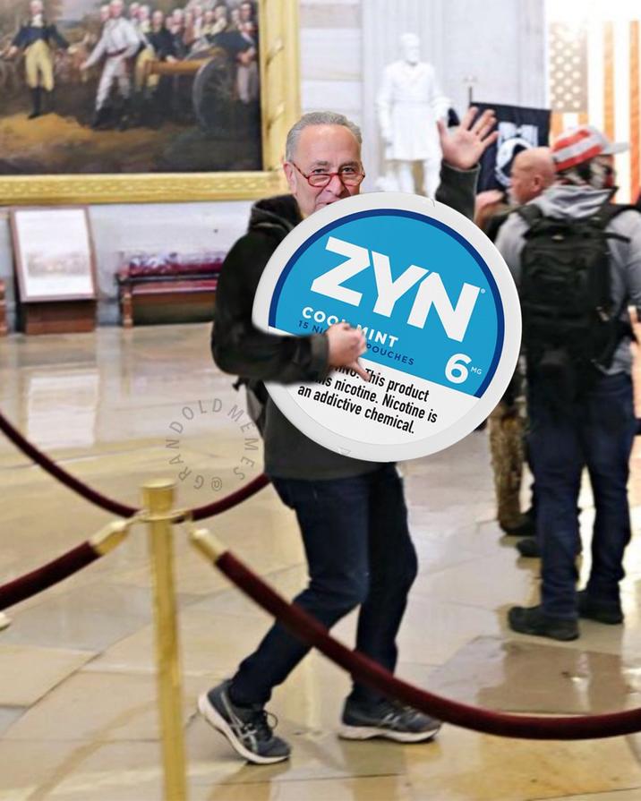 Zynsurrection meme | 2024 Federal Zyn Crackdown / Zynsurrection | Know ...