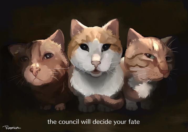 the council will decide your fate | Cat Feeder Camera Cats | Know Your Meme