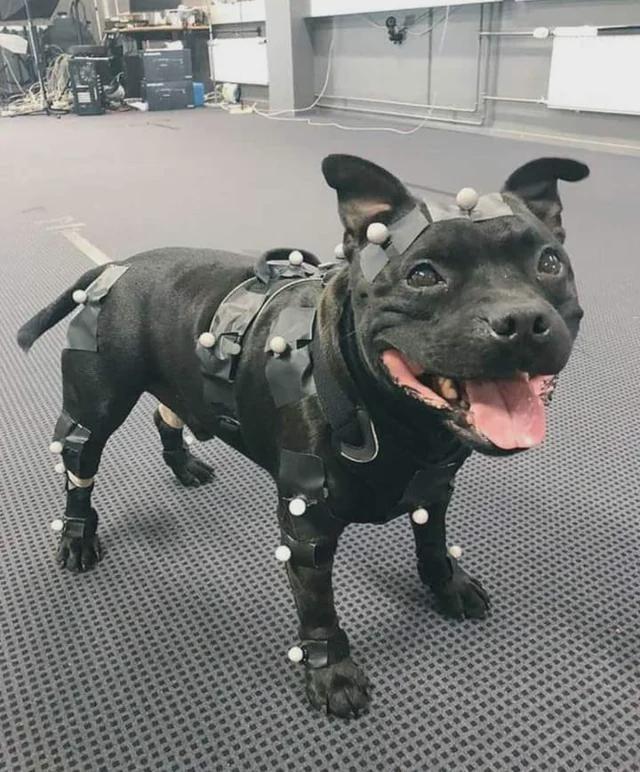 25 Blessed Images To Cleanse Your Timeline | Know Your Meme