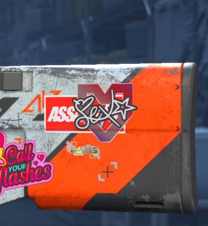 sticker | Counter-Strike 2 Gun Sticker Controversy | Know Your Meme