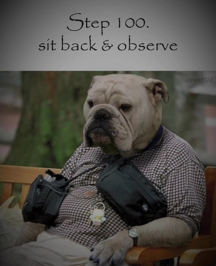 Step 100. Sit Back and Observe | Step 1. Open Settings App | Know Your Meme