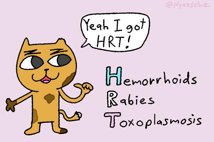 Yeah I Got HRT | Nyazsche | Know Your Meme