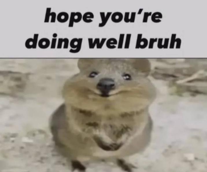 Hope You re Doing Well r wholesomememes Wholesome Memes Know Hope You re Doing Well r wholesomememes Wholesome Memes Know